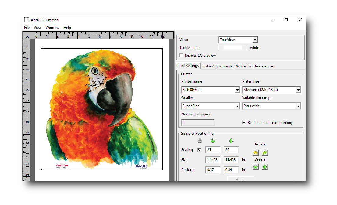 RICOH Ri 1000 - DTG Connection