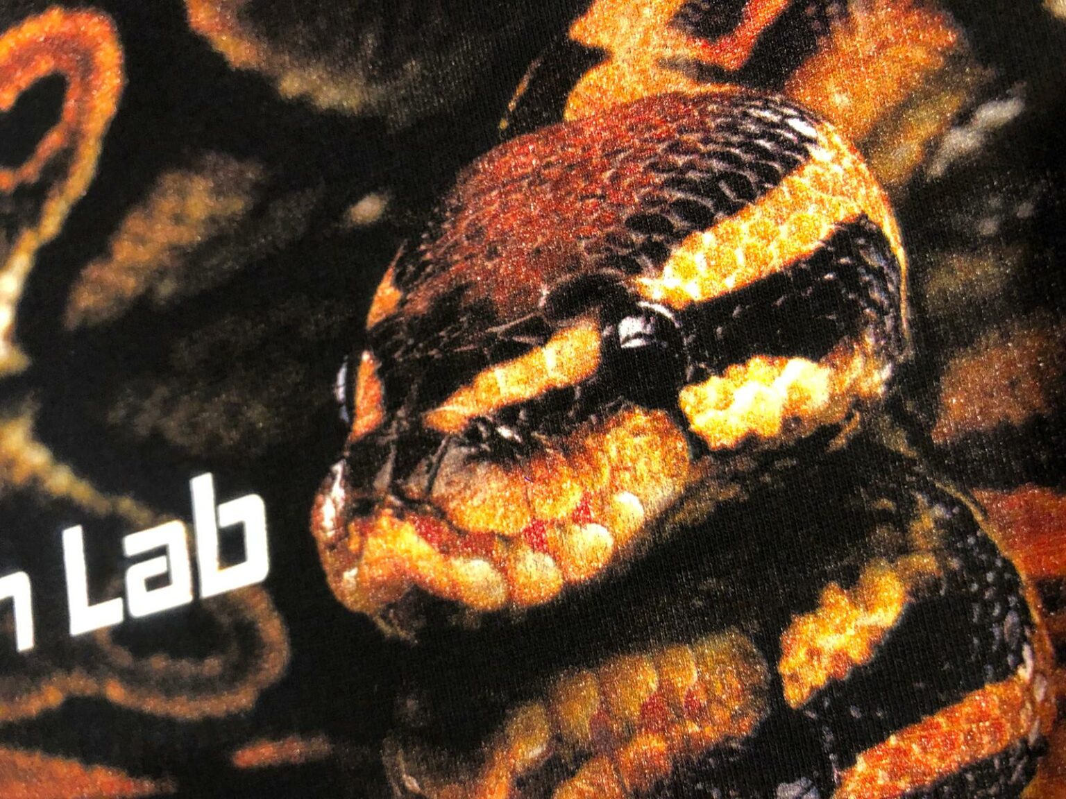 Learn How To Print DTG Like A Pro