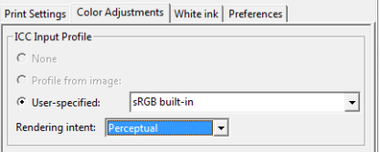 Learn How To Print DTG Like A Pro