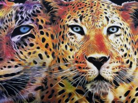 Learn How To Print DTG Like A Pro